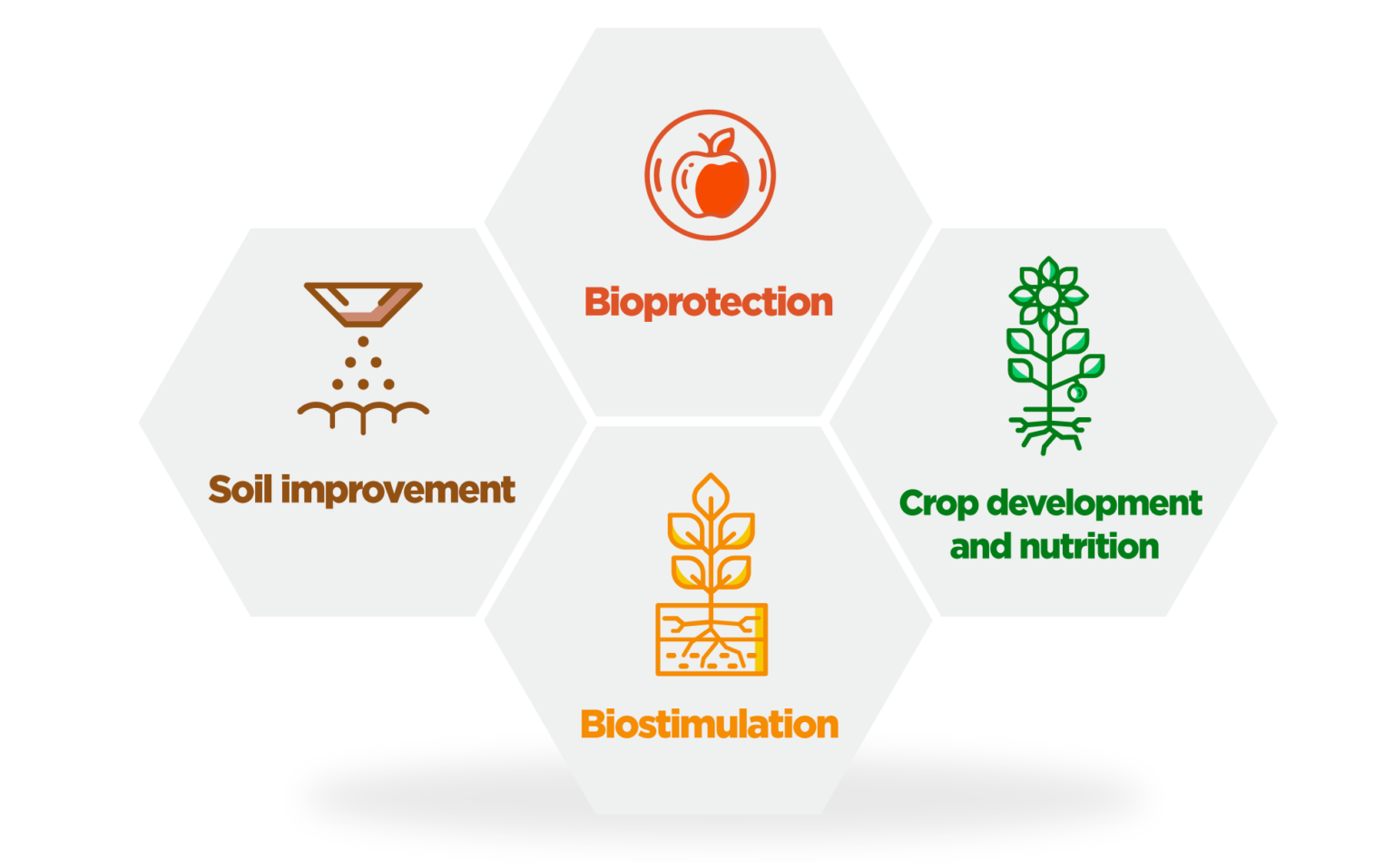 Agribest – transforming agriculture